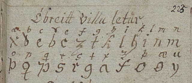 Scott Wolter Answers: New Hooked X's and Ancient Runes Found in Old ...