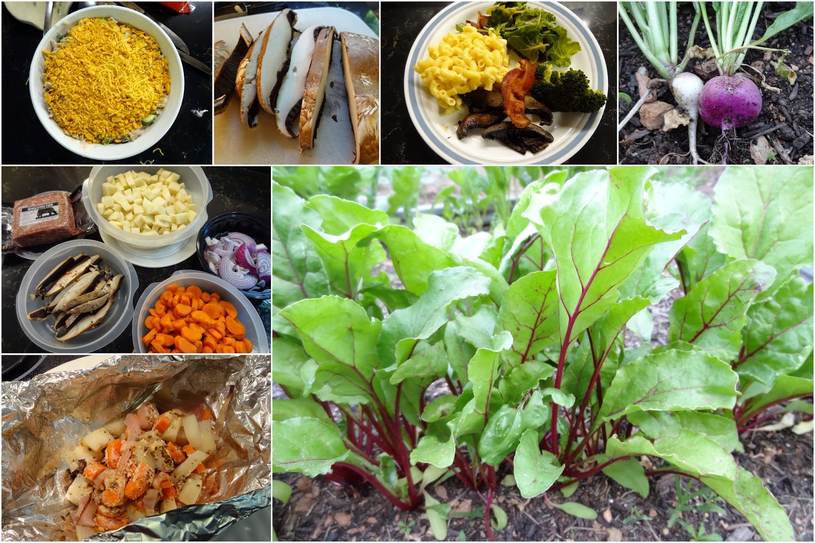 Live and Learn-Toss and Turn: Food Waste Friday and True Food ...