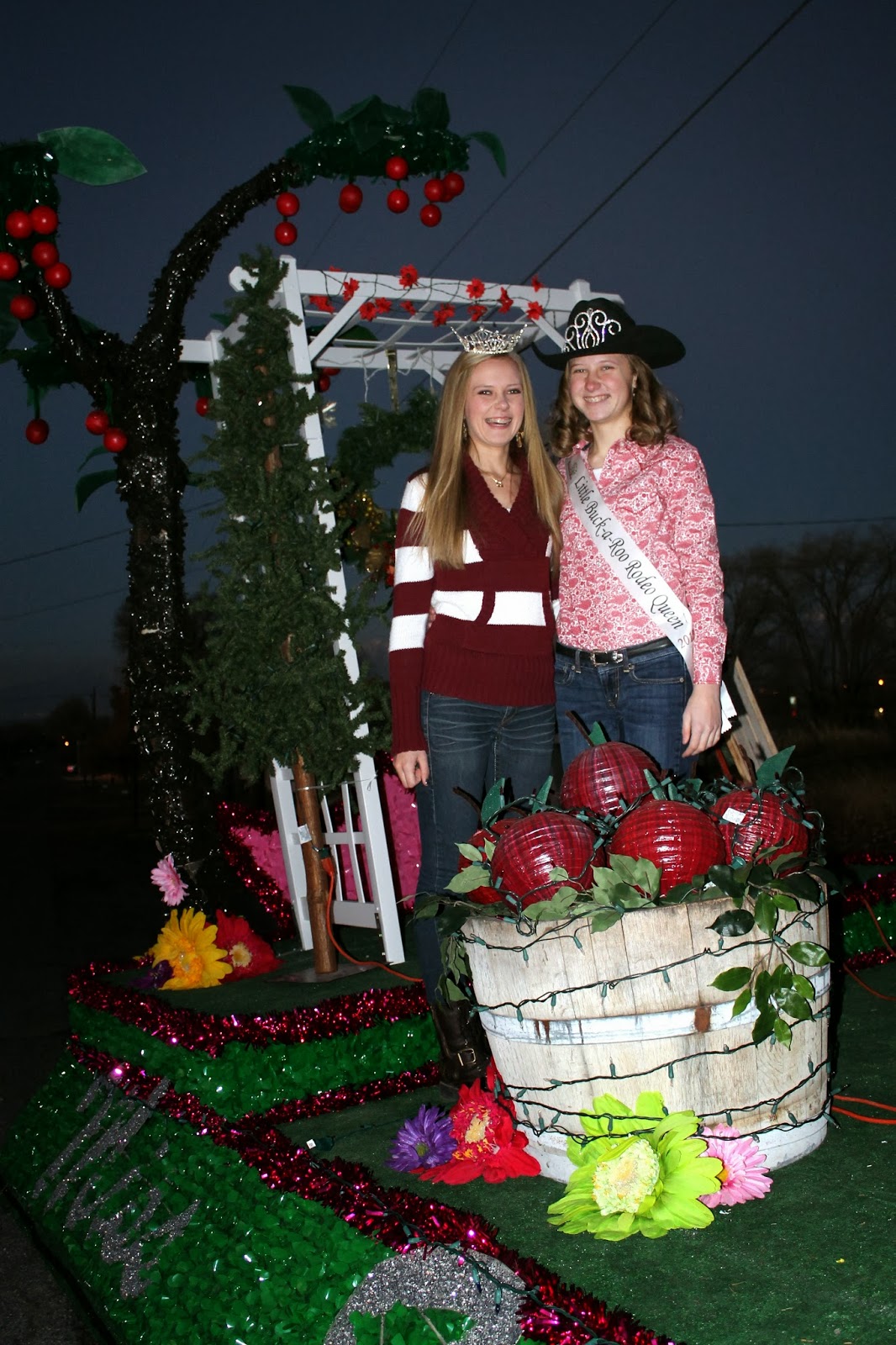 The Payson Chronicle: 2013