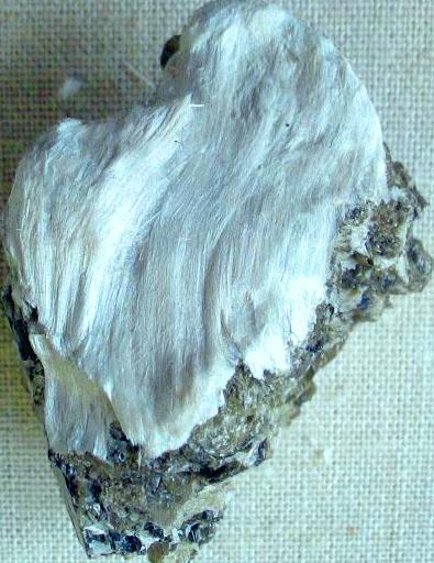 Asbestos Health Risks and Litigation