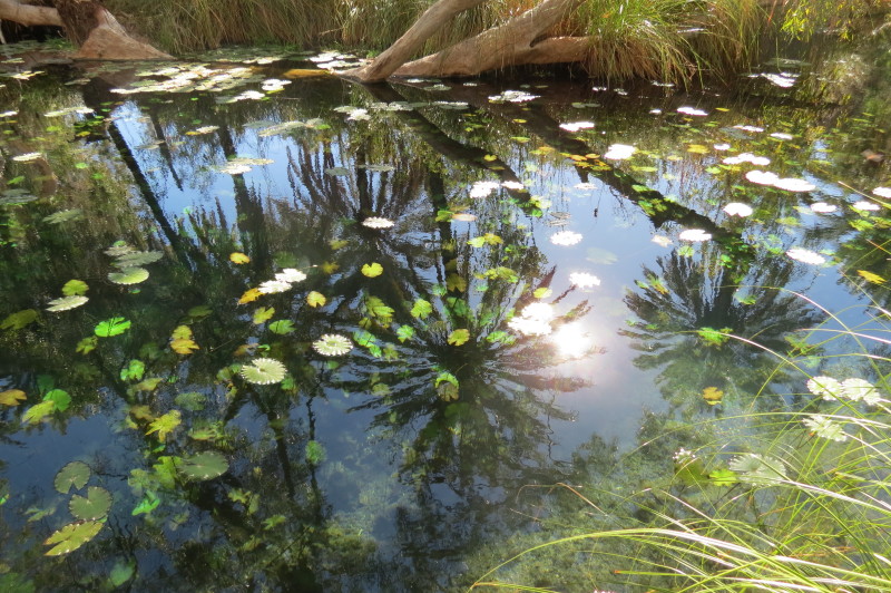 The Travelling Novocastrians: MILLSTREAM CHICHESTER NATIONAL PARK WA