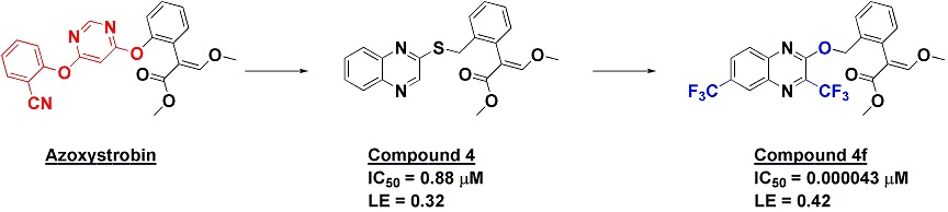 Practical Fragments From Nanomolar To Picomolar Via Fragments practical-fragments-from-nanomolar-to-picomolar-via-fragments
