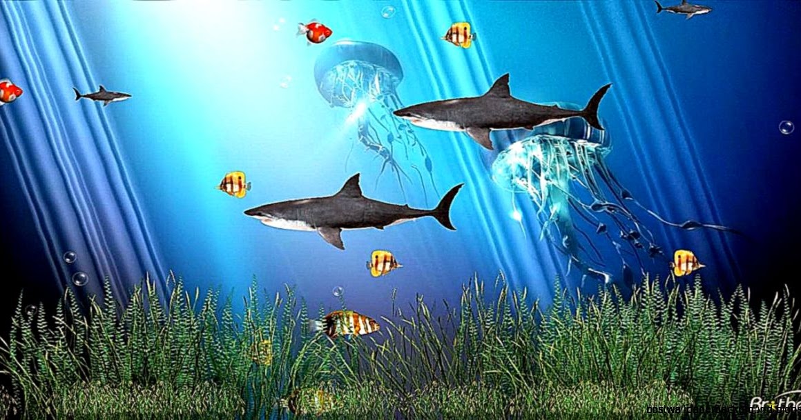 Free Moving Screensavers Windows 11