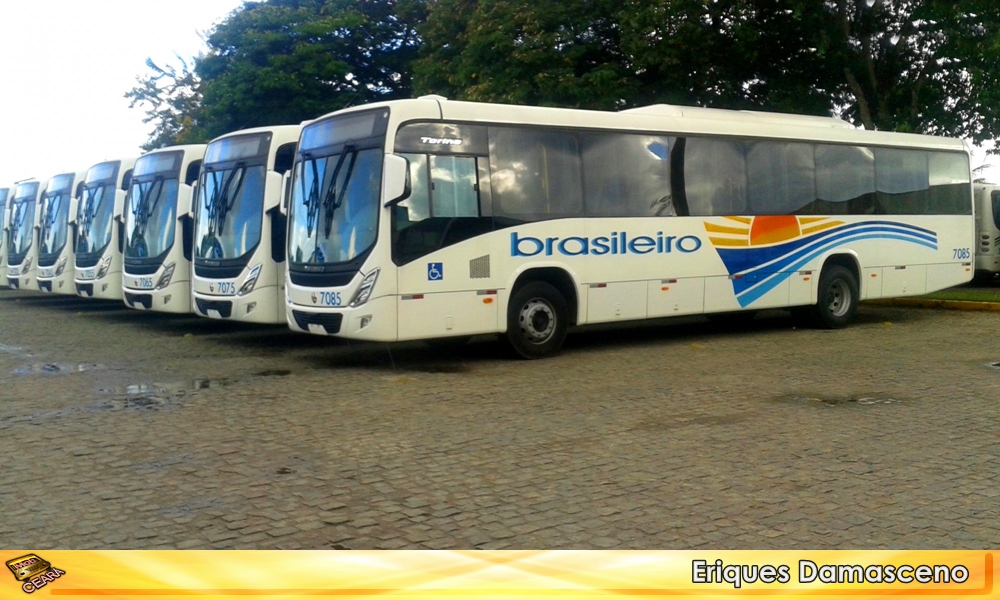 Os 7 New Torino da Expresso Brasileiro (BA)