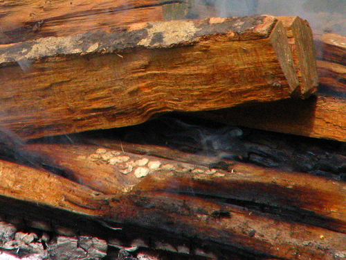 kroleZONE: Cari Kayu Api