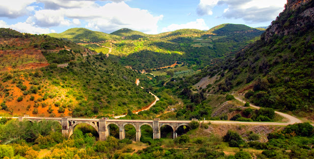Asociación de Antiguos Scouts y Guías de la provincia de Cádiz: enero 2016