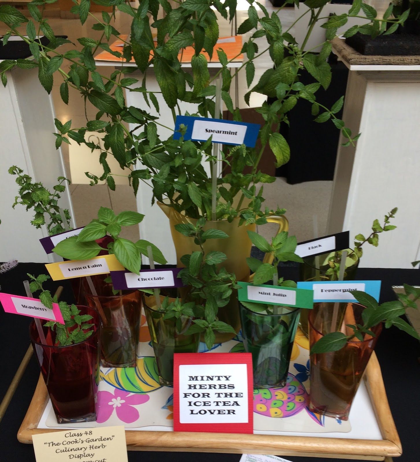 Rosemary's Sampler: Herb Collection Display Class