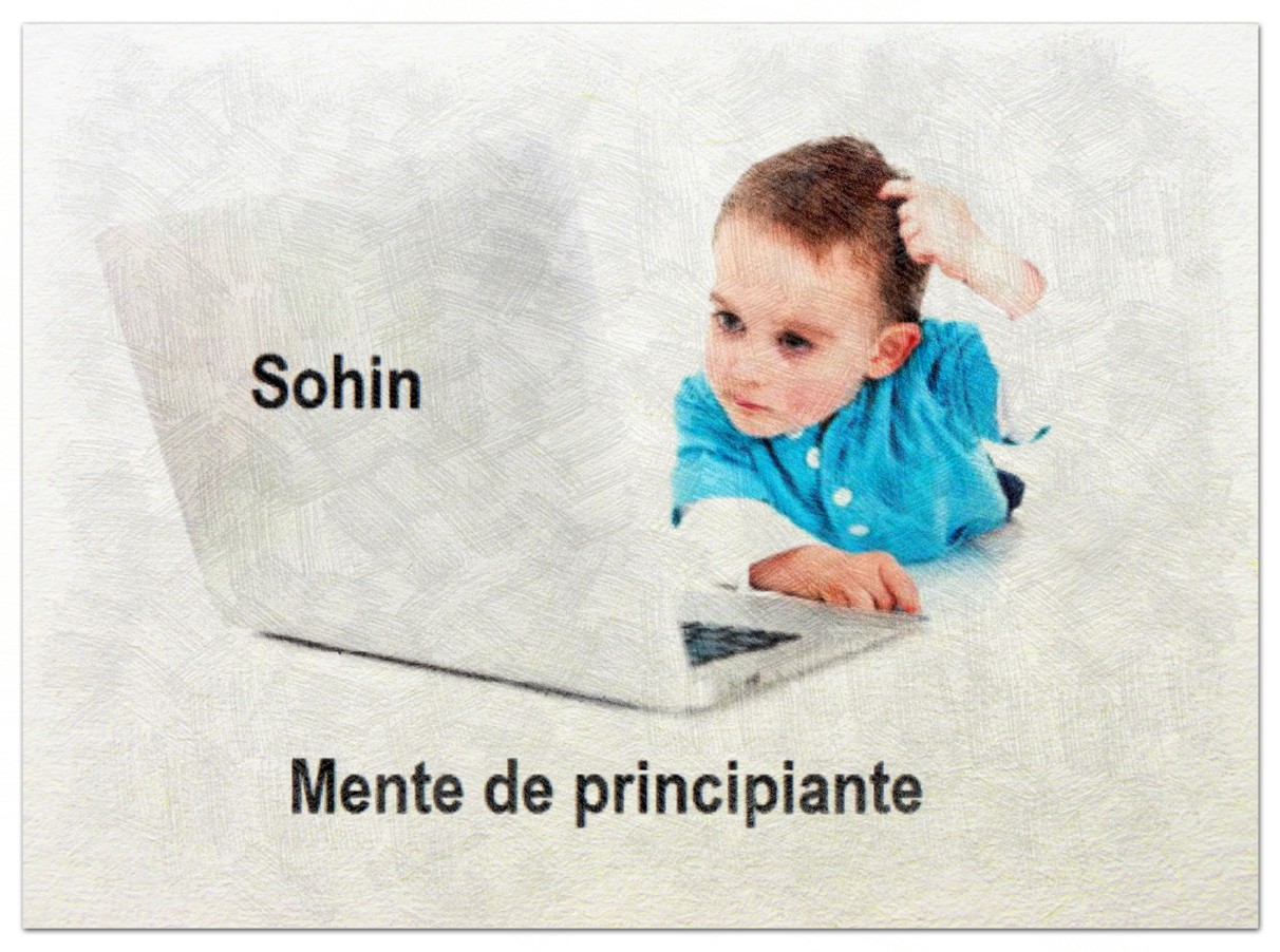 Diego Sosa: SOSHIN: MENTE DE PRINCIPIANTE