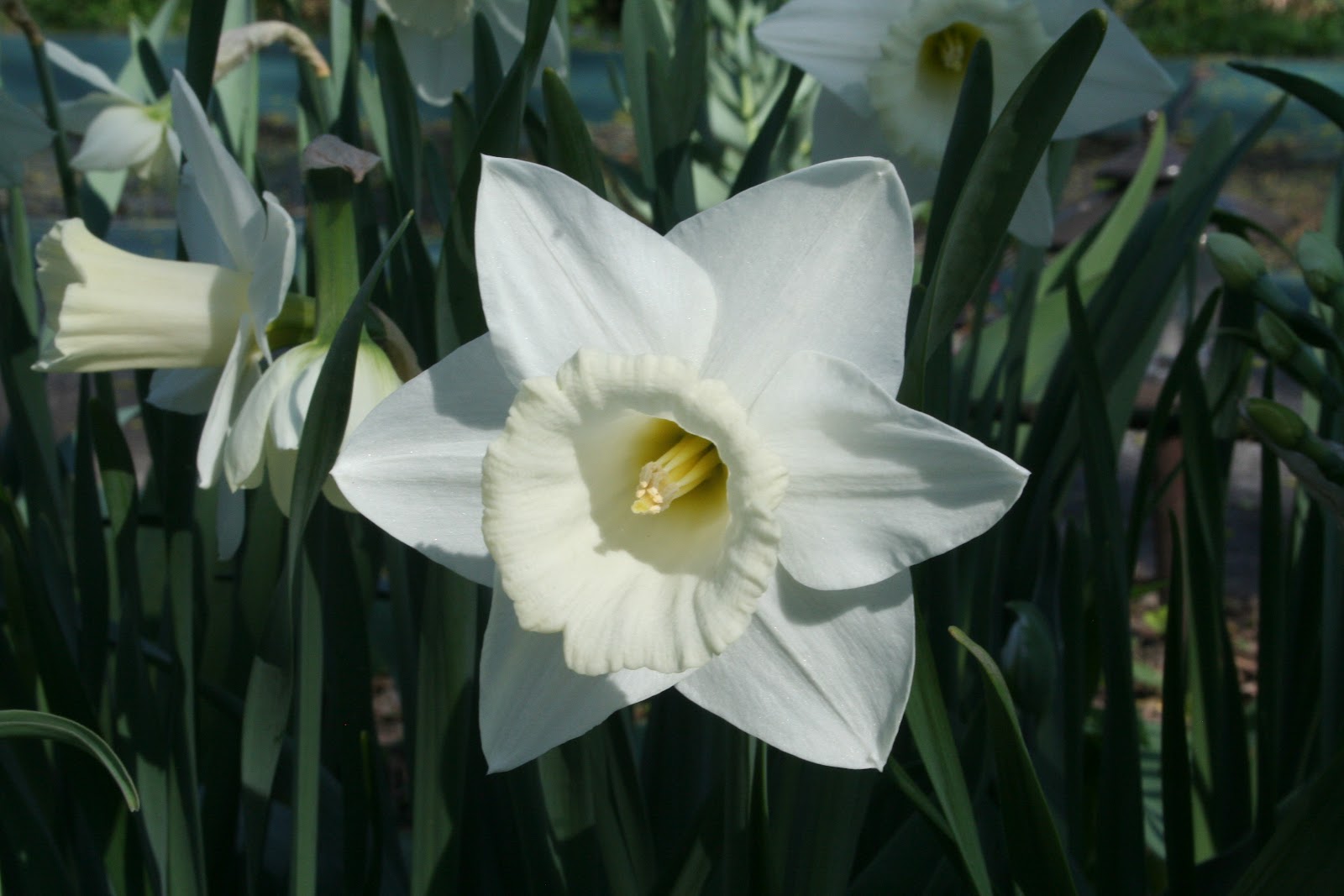 Gardens of Earthly Pleasures