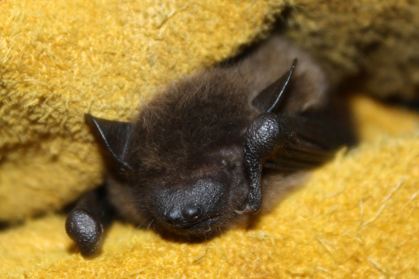 Panther Island Adventures: August 2011