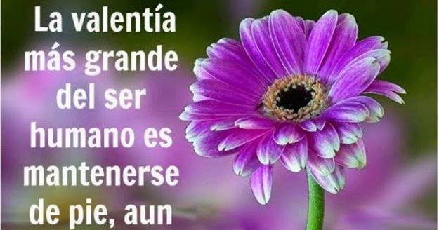 Frases con Imágenes Motivadoras y de Reflexión: Imágenes y Frases: La ...