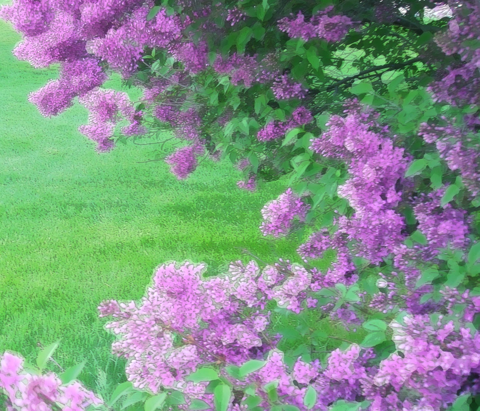 Photographing Flowers: Impressionist Flower Effects in Photoshop