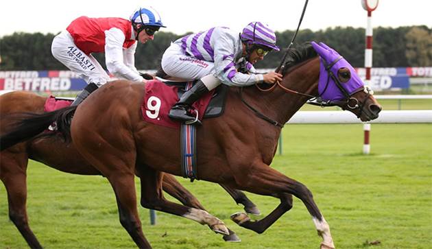 Gambling Ramblings: Nakeeta The Each Way Value In Melbourne Cup