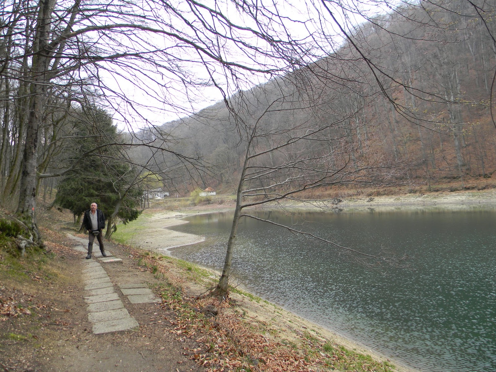 Blog de Calatorii si Drumetii Montane.: Lacul de la Codlea ,jud.Brasov ...