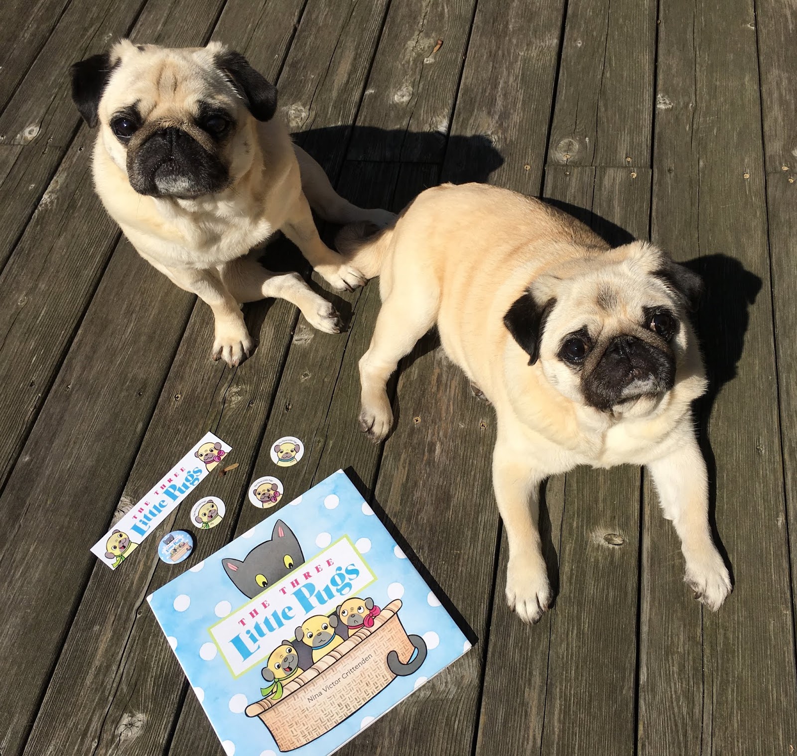 Nina's Blog: The Three Little Pugs Giveaway