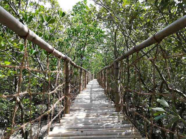 A LOCAL’S GUIDE TO GUBAT, SORSOGON: 10 Tips and Tricks for First-time ...