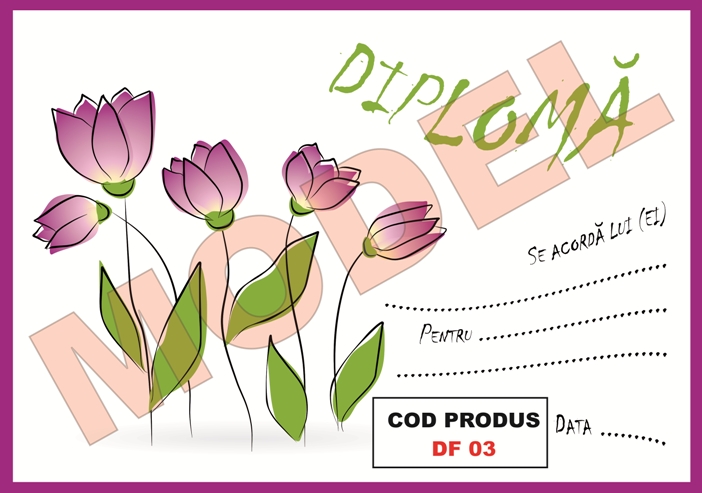 DIPLOME FEL DE FEL : MODELE DE DIPLOME CU FLORI / MOTIVE FLORALE