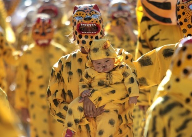 CONOCER MÉXICO POCO A POCO: - La tigrada de Chilapa