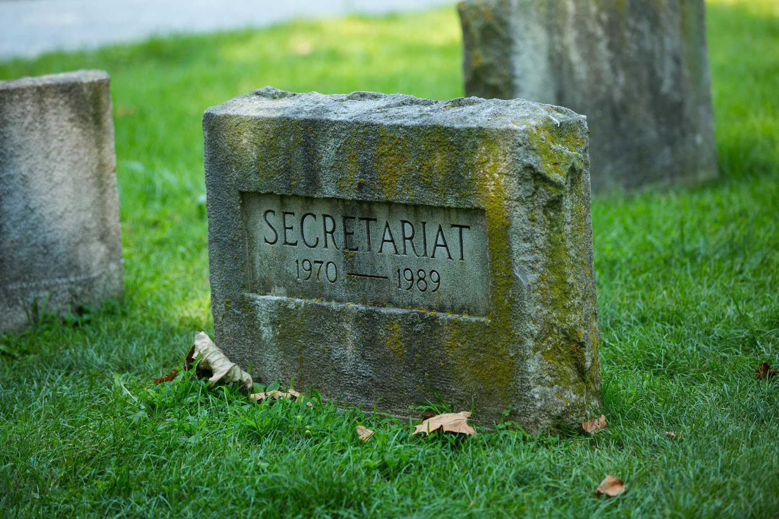 Past the Grandstand: Bliss in the Bluegrass