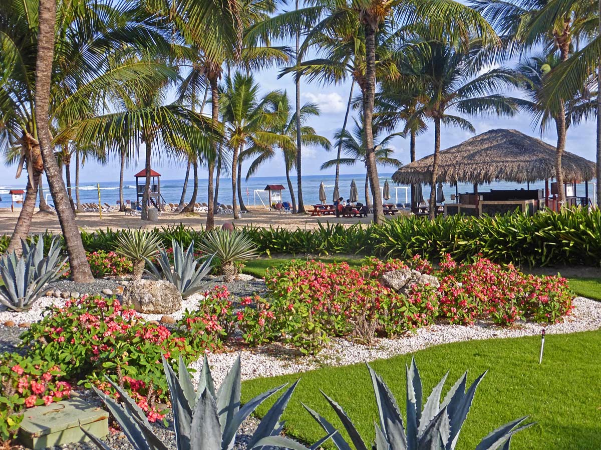 Travel with Solange: Caribbean Dreams Punta Cana Resort and Spa ...