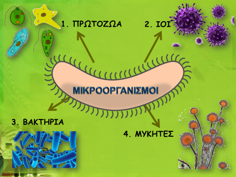 Οι μικροοργανισμοί στη ζωή μας