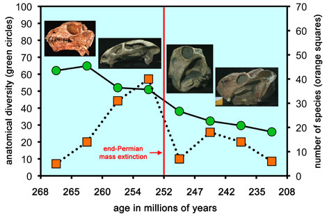 CSD MX: LA EXTINCIÓN MASIVA EN EL PÉRMICO