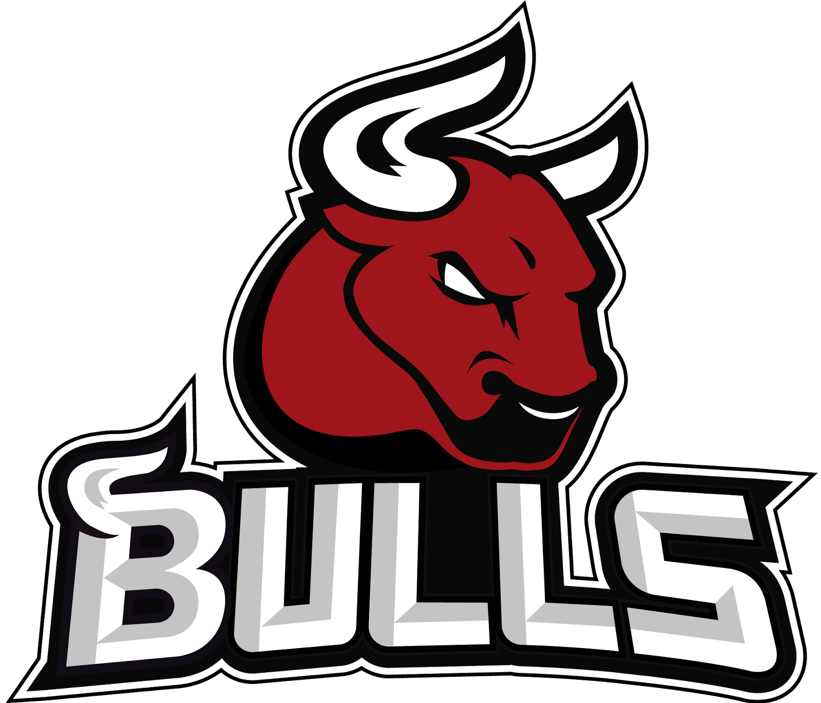 Overtime do F.A: BULLS FUTEBOL AMERICANO COMPLETA 10 ANOS E LANÇA NOVA ...