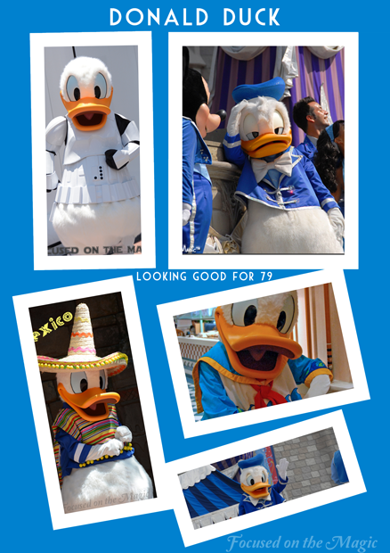 Tiggerific Tuesday Trivia ~ Donald Duck | Focused on the Magic ...
