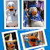 Tiggerific Tuesday Trivia ~ Donald Duck | Focused on the Magic ...