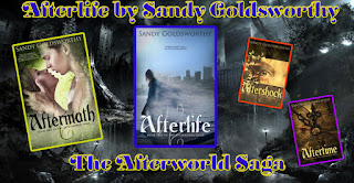 Afterlife Release! - Sandy Goldsworthy - Escape Into Another World