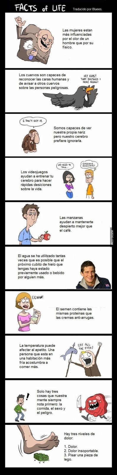 10 datos curiosos que no sabias - Que Pendejada