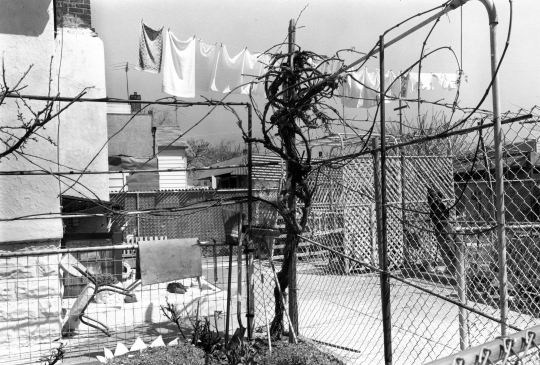 fototazo: Photographers on Photographers: Thomas Roma by Daniel Echevarría