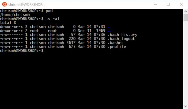 Spare Time Notebook: Installing Bash on Windows 10