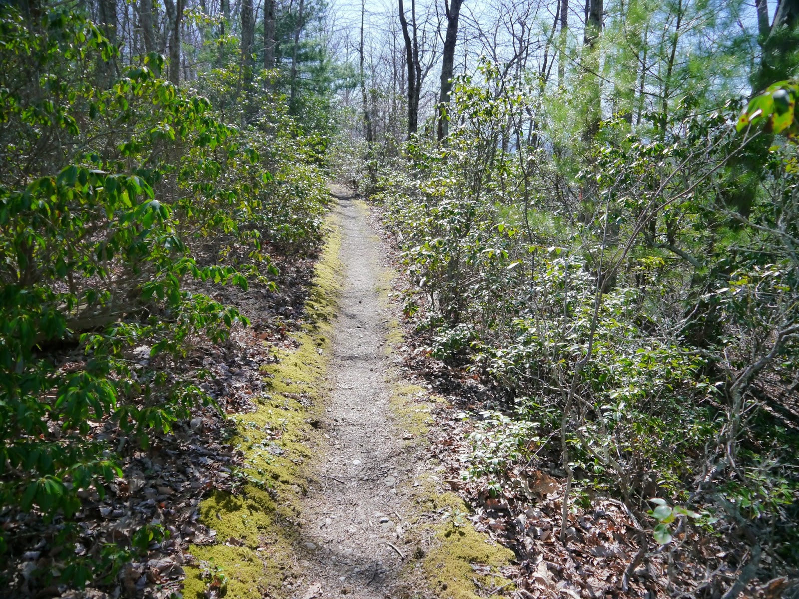 American Travel Journal: Riprap Trailhead to Blackrock Gap ...