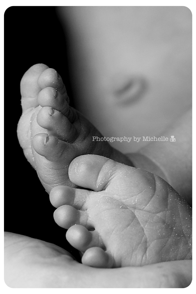 Photography by Michelle: Babies & Bumps