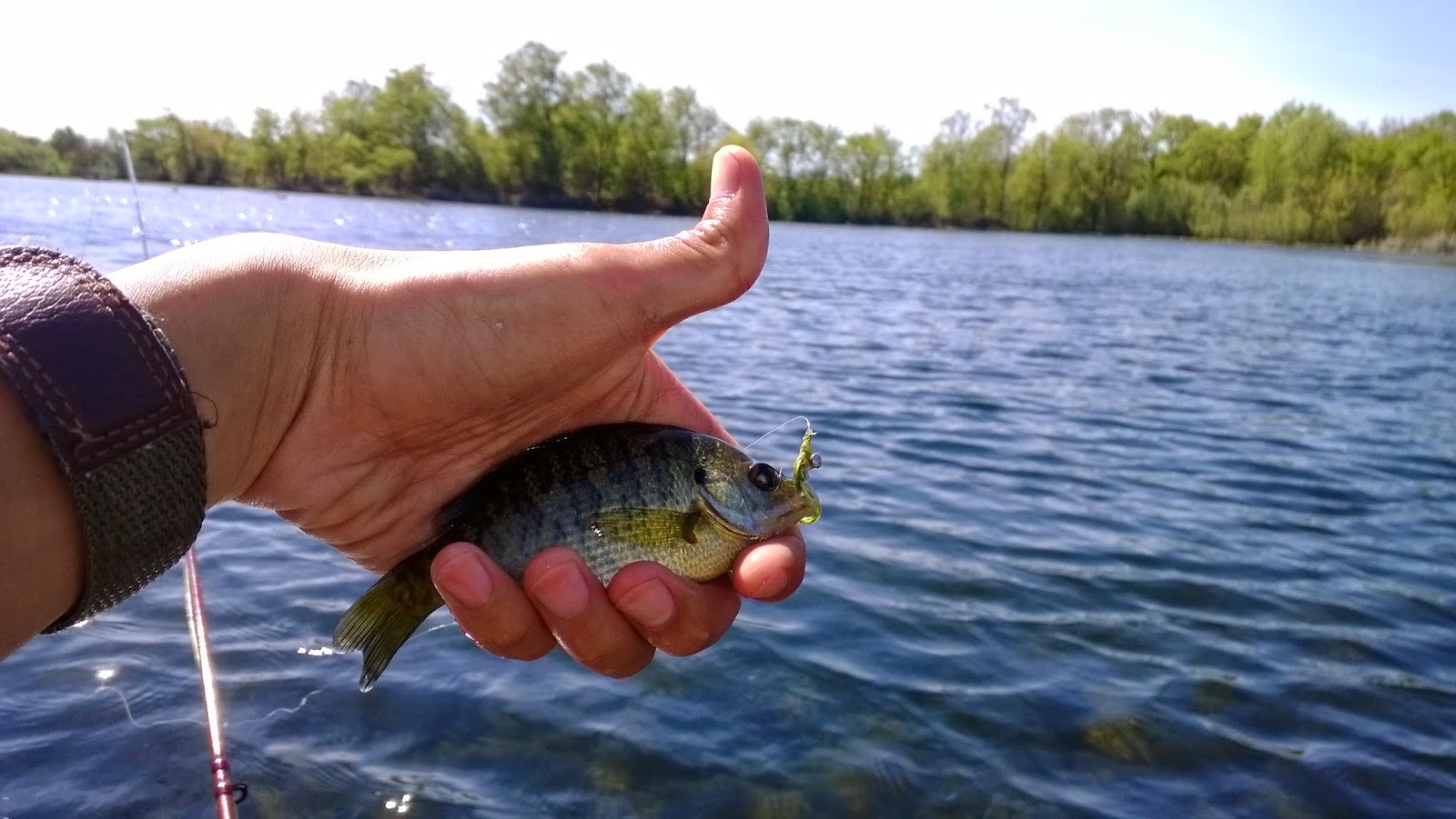 Wind Is Not My Friend – Keep Calm and Fly Fish