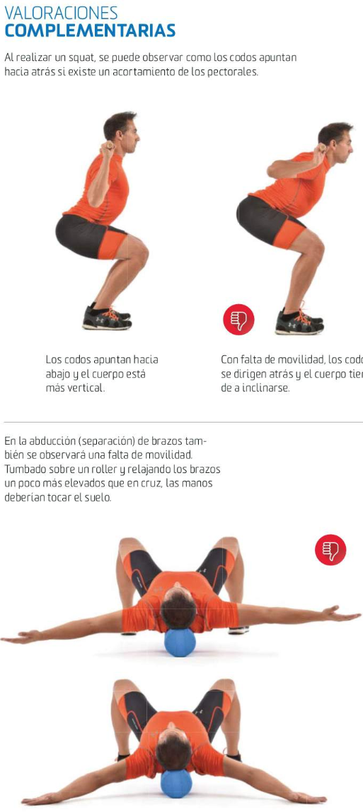 Rutinas de Ejercicio: Cintura Escapular-Movilidad Cintura Escapular