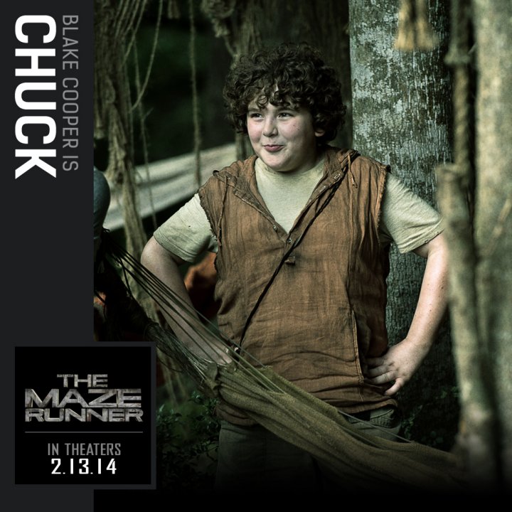 GeekMatic!: PRESS RELEASE: The Maze Runner!