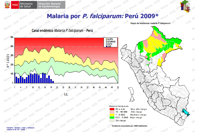 MALARIA EN LA SELVA AMAZÓNICA DEL PERÚ: Información sobre la incidencia ...