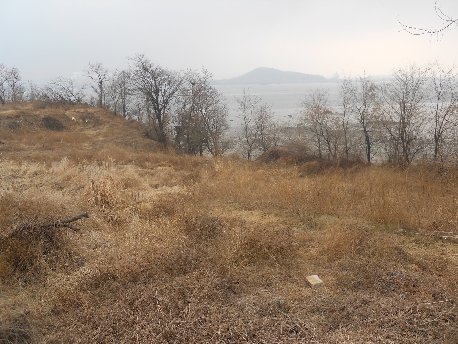 The Bagsy Blog: Mud, Mud Glorious Mud - Flanders & Swann