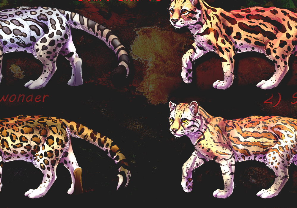 Margay - Ocelots Diet