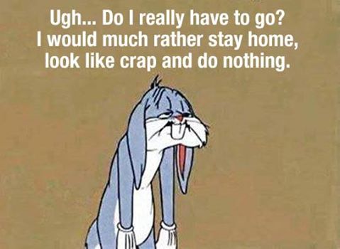 YELLOWDOG GRANNY: crapity crap it's Monday again