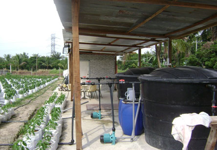 Rumah Pam Dan Tangki - Chilli Fertigation Training And Education Centre