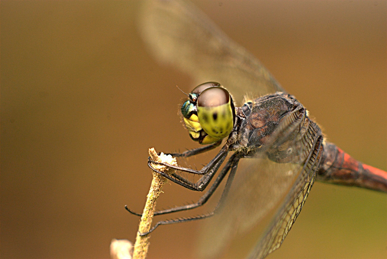 Big Picture | photography inspiration | funny images etc Just on http ...