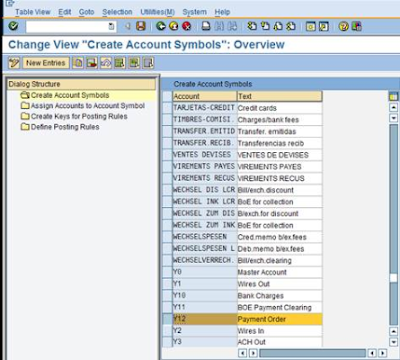 SAP FICO Central: Payment Order Configuration