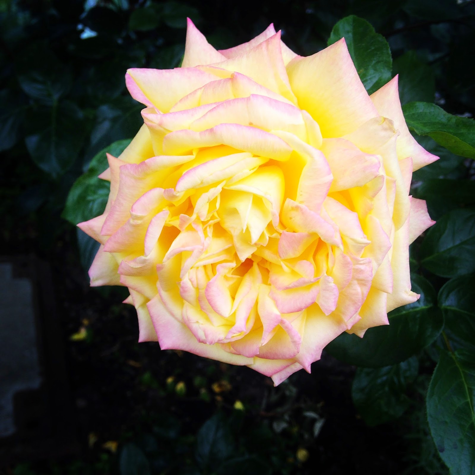 Perfectly Imperfect: Germany