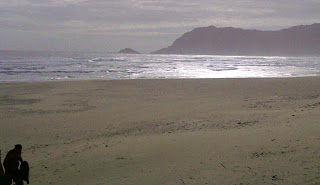 Picture this.: Sights from Sedgefield Beach