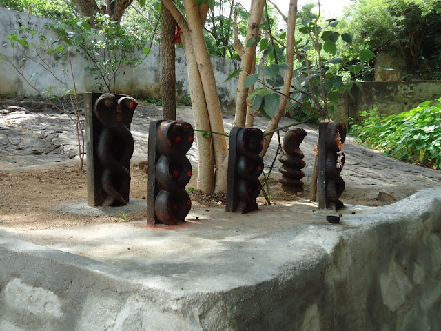 Hindu Temples of India: Venkateswara Temple, Tirumala – Pandava Theertham