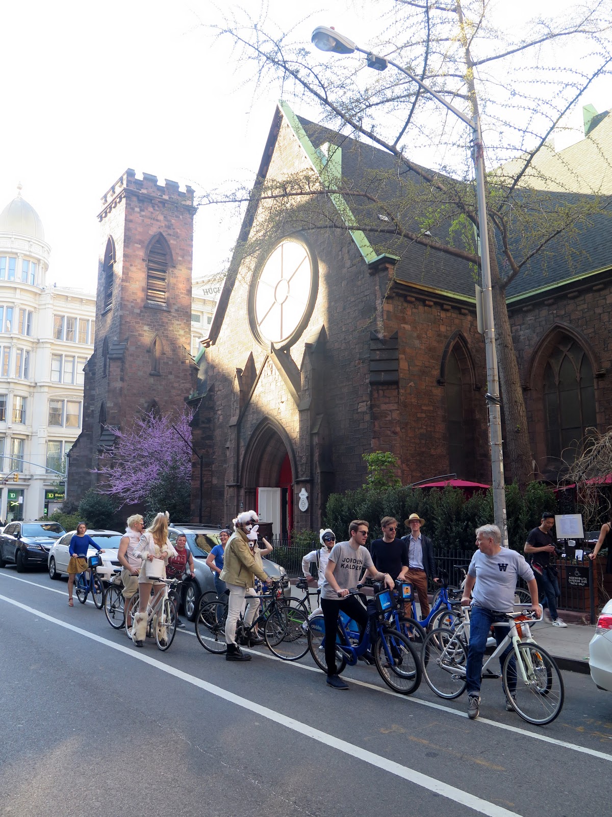 The Triangle Project