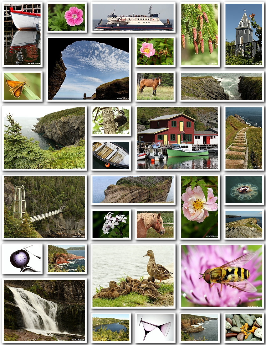 Bitstop: August Collage